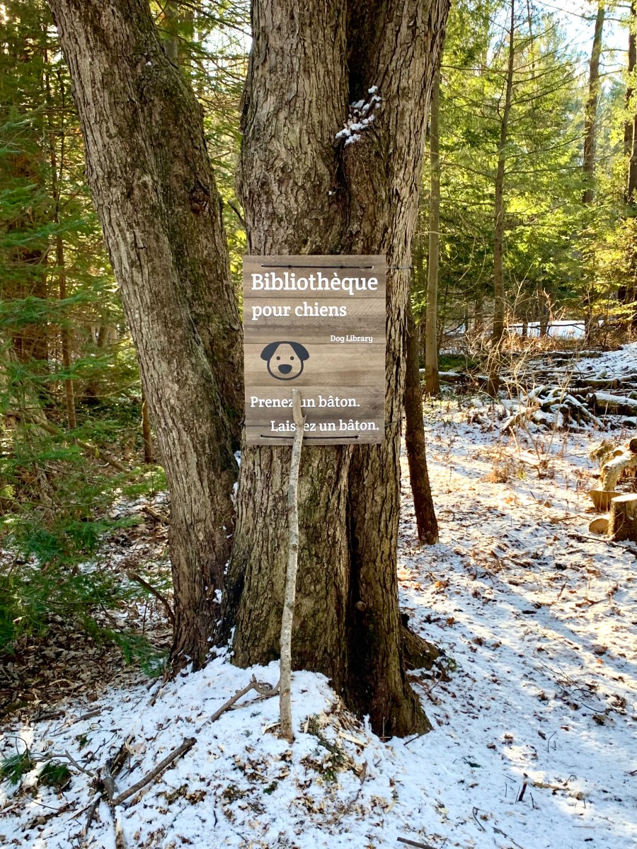 Billet du 5 janvier 2024 : Journal de vacances des Fêtes (2e de 2 ...